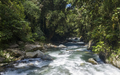 Río Melcocho | Paseo Familiar | Medellin Rafting | Cocorna